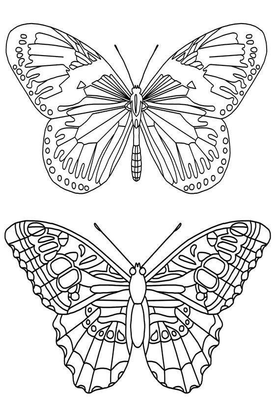 Butterfly coloring pages offer a captivating and artistic avenue for ...