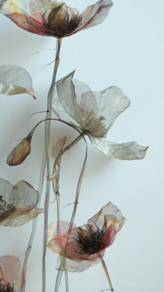 “The Summer Experience” pt3. “Yeah, it does have the full package of… | by Arc Dreamer | Medium