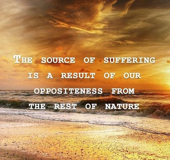 Can we live, progress without suffering? | by Zsolt Hermann | Medium