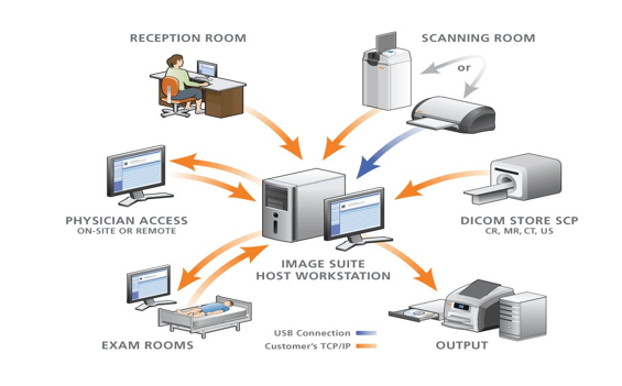 radiology pacs system | by Charlotte F. McGough | Aug, 2024 | Medium