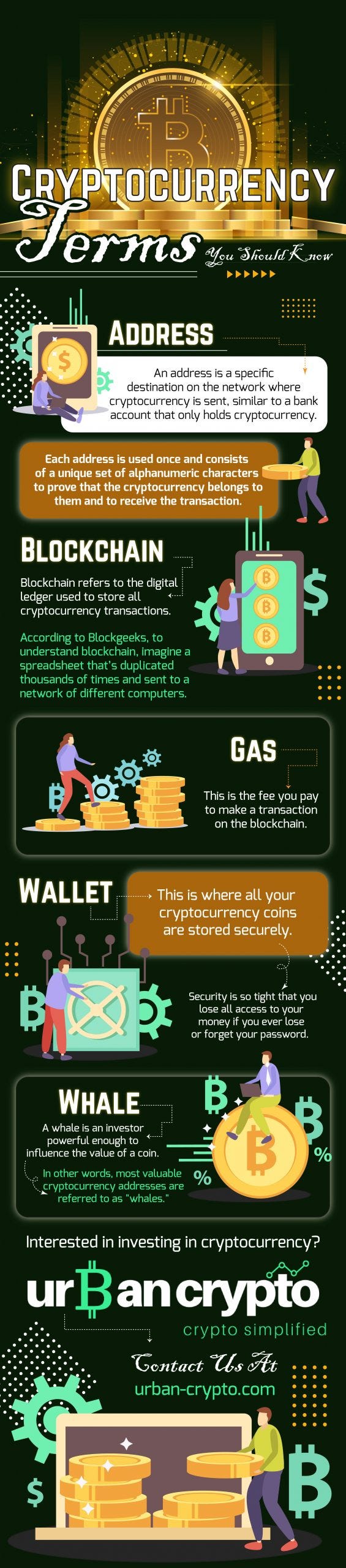 Infographic: Cryptocurrency Terms You Should Know - Not sure how to ...