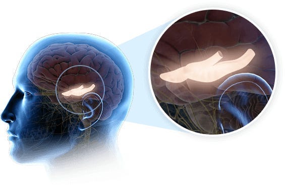 Billionaire Brain Wave Review (Update 2024): Unveiling the Power of ...