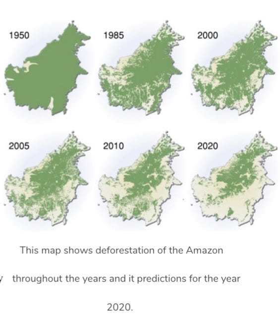 Why the Amazon Rainforest is Burning | by Sokaina Zouak | Medium