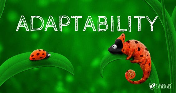 Adaptability To Change