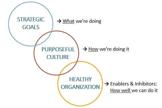 Thank You Thomas Oppong ! | by Andy Mosedale | Medium