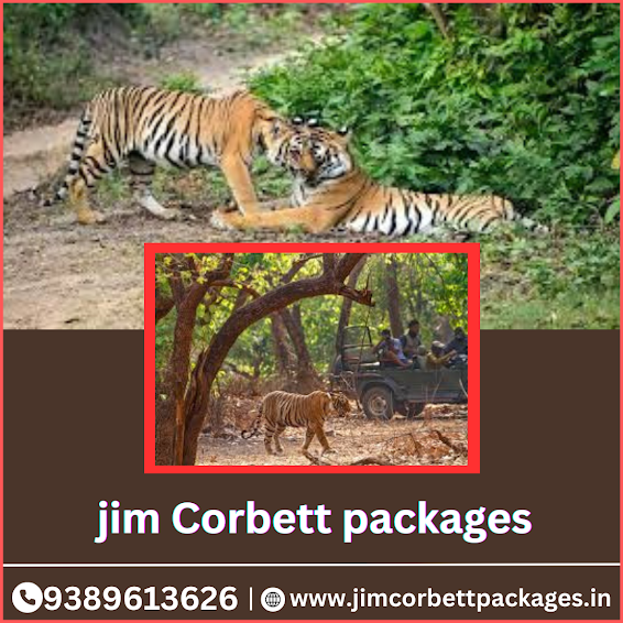 Unlock the Wild: Exploring the Wonders of Jim Corbett Packages | by jim corbett packages | Nov ...
