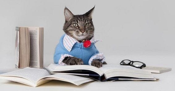 How to Write an Editorial. Editorials are probably the most… | by ...
