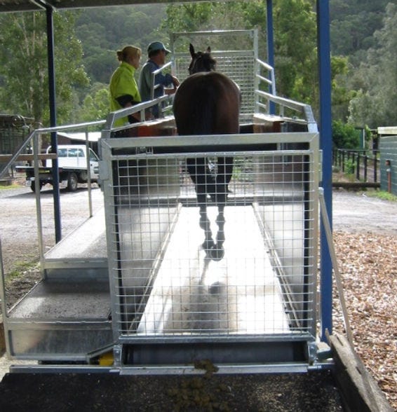 Muskoka Farm Horse Training NSW. Embodying a prize winning legacy, this ...
