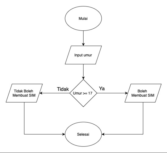 Conditions In Python Praktikum Algoritma Pemrograman By Salwa Fijri Sep 2024 Medium