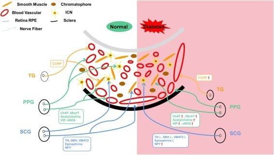 Unlocking the Potentials of Nervous System Markers Market | by Albert ...