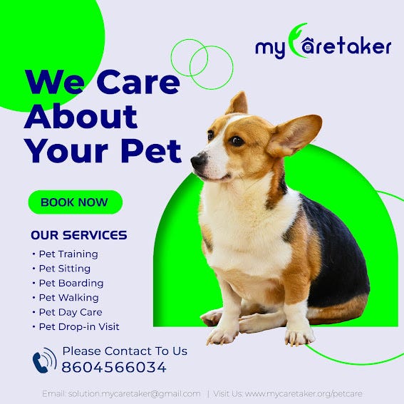 Best Pet Care Service in Delhi NCR. | by mycare taker | Medium