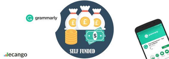 Grammarly Case Study — A Successful Self-funded Online Business | by ...