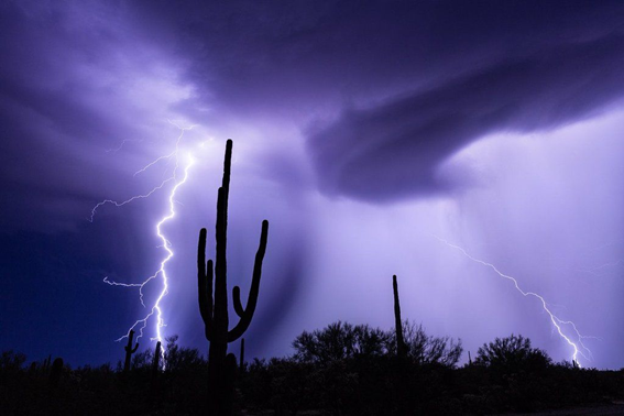 How Fast the Climate is Going to Change from 2019–2021 a Forecast | by ...