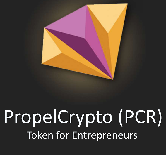 Drawing in Finance managers with PropelCrypto (PCR) | by Muhammad Usman | Nov, 2023 | Medium