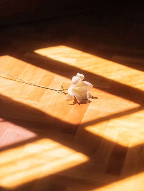 Maybe I’m Just Learning to Let Go | by Sia Tripathi | ILLUMINATION | Jun, 2025 | Medium