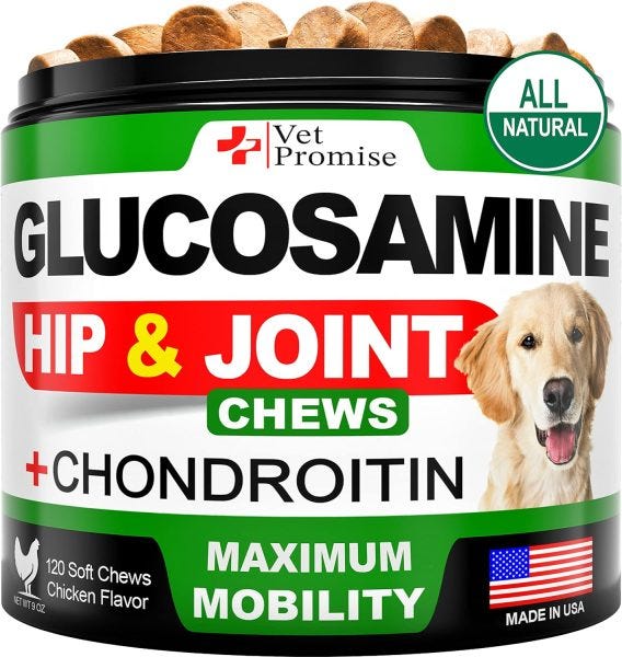 Best Joint Supplement for Small Dogs Rated | by Heartsofpets | Feb, 2024 | Medium