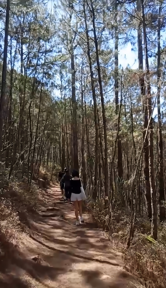 Yellow Trail: Unwind Your Senses, Discover Yourself | by Pauline Anne ...