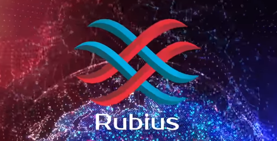 Rubius Overview Project. Problem | by Anisa Amira | Medium