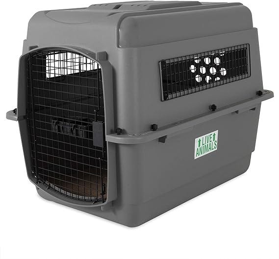 Petmate Sky Kennel, 32 Inch, IATA Compliant Dog Crate for Pets | by ...