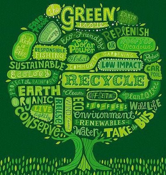 Eco Friendly Environment Slogans
