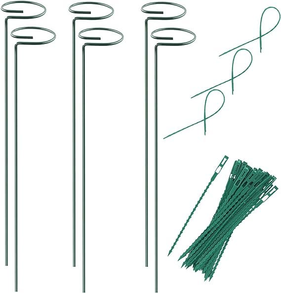 Single Stem Support For Plant - aleegadget - Medium