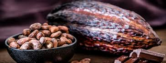 How Chocolate Conquered the World: From Aztec Elitism to Global Treat ...