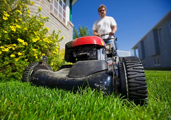 Keep your Backyard look stunning with Lawn Mowing Hoppers Crossing | by ...