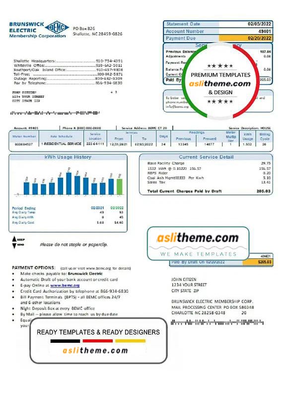 USA North Carolina Brunswick Electric utility bill template in Word and ...