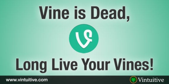 Vine is Dead, Long Live Your Vines! | by Vin Brown @Vintuitive | Medium