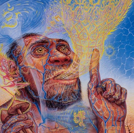 Magic Mushrooms and the Evolution of Religion | by cultofsoup | Medium