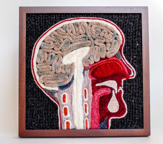 Knitted Bisected Human Head by aKNITomy | by KnitHacker | Medium