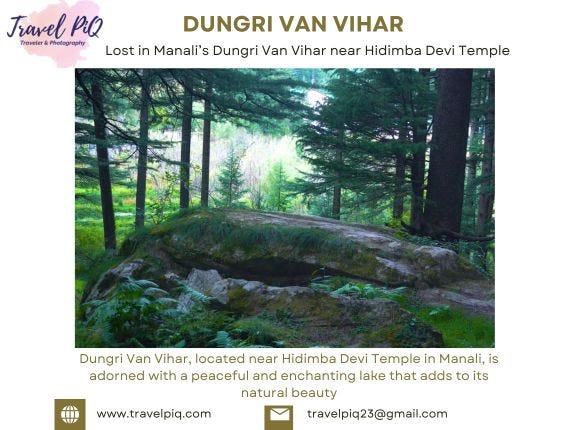 Lost in Manali’s Dungri Van Vihar near Hidimba Devi Temple | by Travel ...