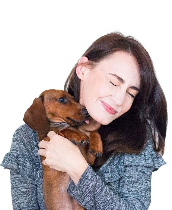 Dog Savvy - Small Dogs Training Review | by Abbas mundekkattil | Jun ...