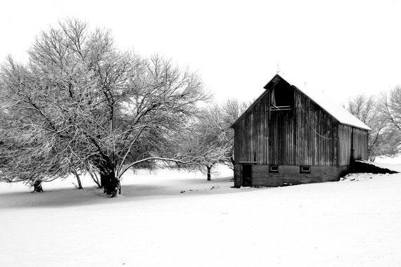 Cold Farm. November 1999. The days are colorless… | by Daydream or ...