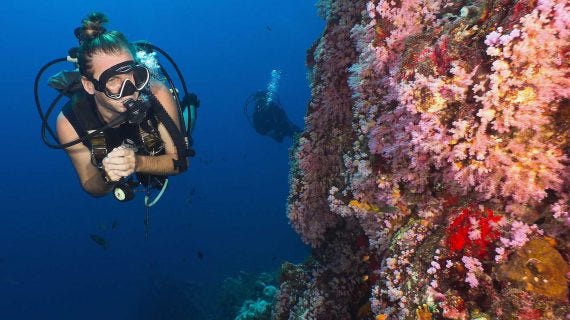 Phi Phi Scuba Diving Options. There are two methods to delight in… | by ...