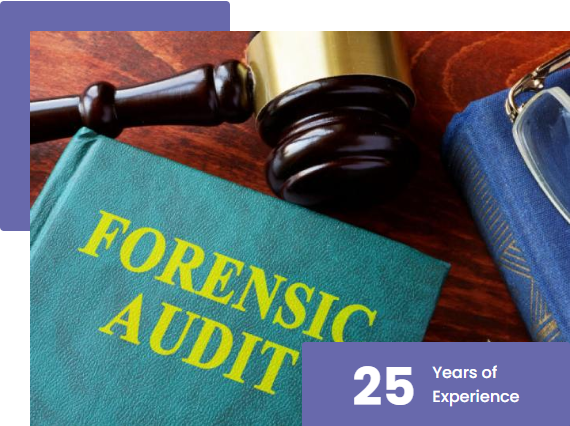 Forensic Audit Services Dubai, UAE - sunny sunny anzal - Medium