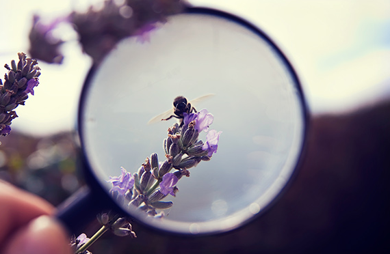 The Art of Looking Within. Pictures are said to be worth a… | by Kat ...