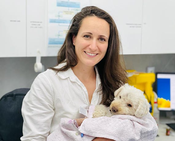 Best Veterinary Clinic/Hospital in Perth - SAI Veterinary Hospital - Medium