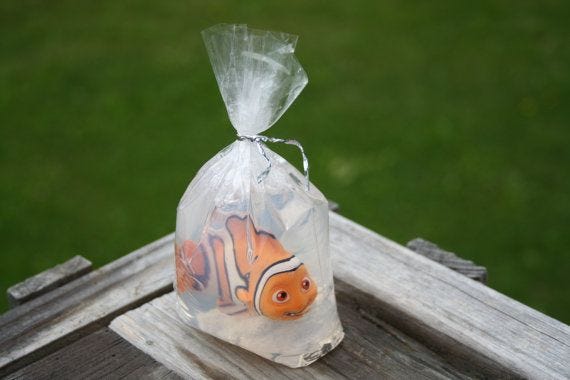 The Fish in the bag... | by Vishal Gupta | Medium