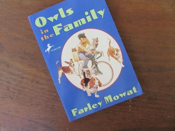 Book Report on Owls in The Family | by C M | Medium