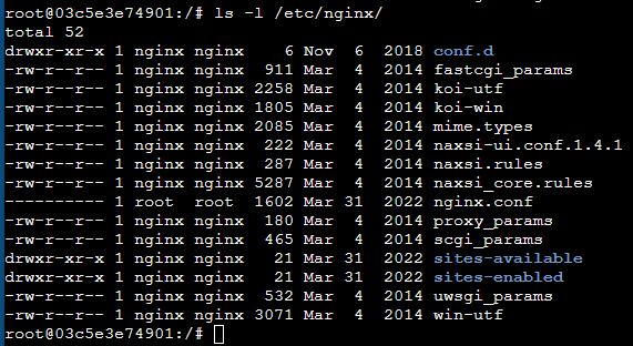 Nginx web server issue report. At ALX SE PROGRAM, we undertake a… | by Rifkiahmed | Nov, 2023 ...