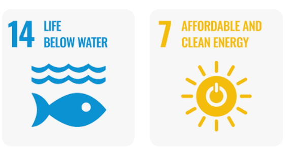 The Promise of the Blue Economy: Advancing SDG 14 but Confronting ...