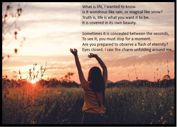 Finding Life. What is life, I wanted to know. Is it… | by Summer ...