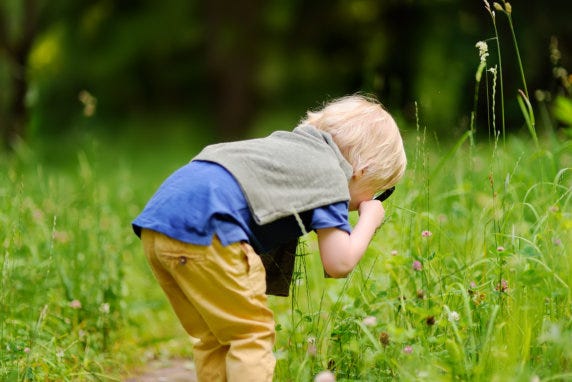 Exploring Safely: Fostering Curiosity in Toddlers - Little Believer's ...