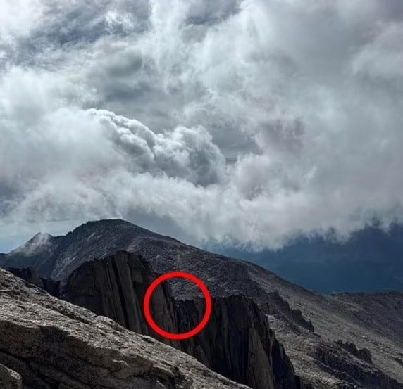 A Spotted Alien Near the Rocky Mountains | by Shahjehan Khan | Medium