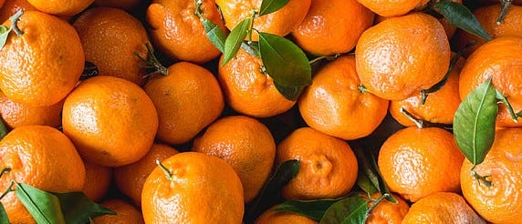 More Than Just a Tangerine, This Life Gives Me a Wood Full of Fruits ...