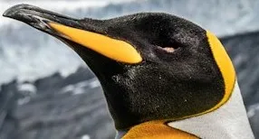 Computer Vision in Python con OpenCV - Pulp Learning - Tutto sul ...