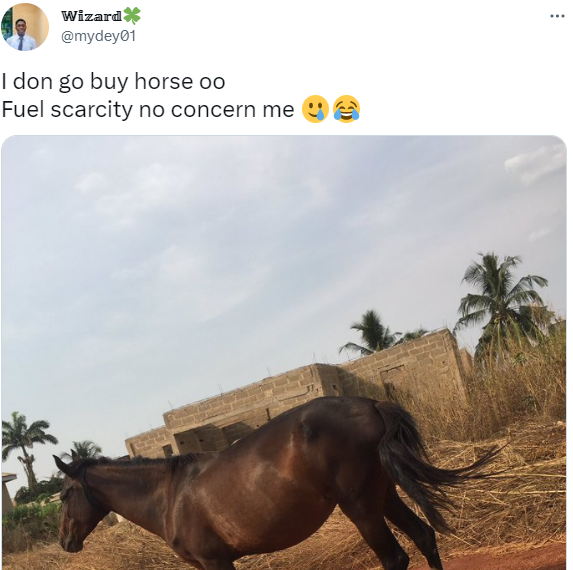 Fuel scarcity: “Why”. We have a lot of pressing issues that… | by Amaka ...