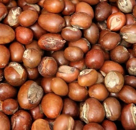 The Alluring Origins and History of the Golden Treasure of Africa; Shea ...