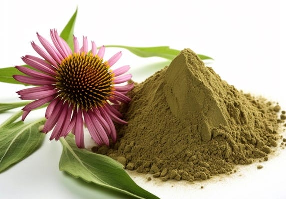 Echinacea Extract. Echinacea has been a wild plant of the… | by ...